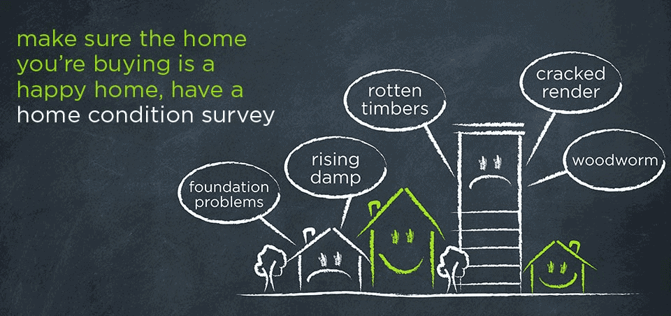 SAVA Home Condition Survey (HCS) - Party Wall | Listed Buildings | Home ...